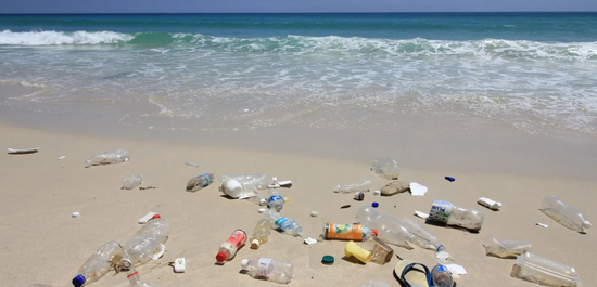 HOW DOES PLASTIC POLLUTION AFFECT HUMANS? – No More Bottles UAE